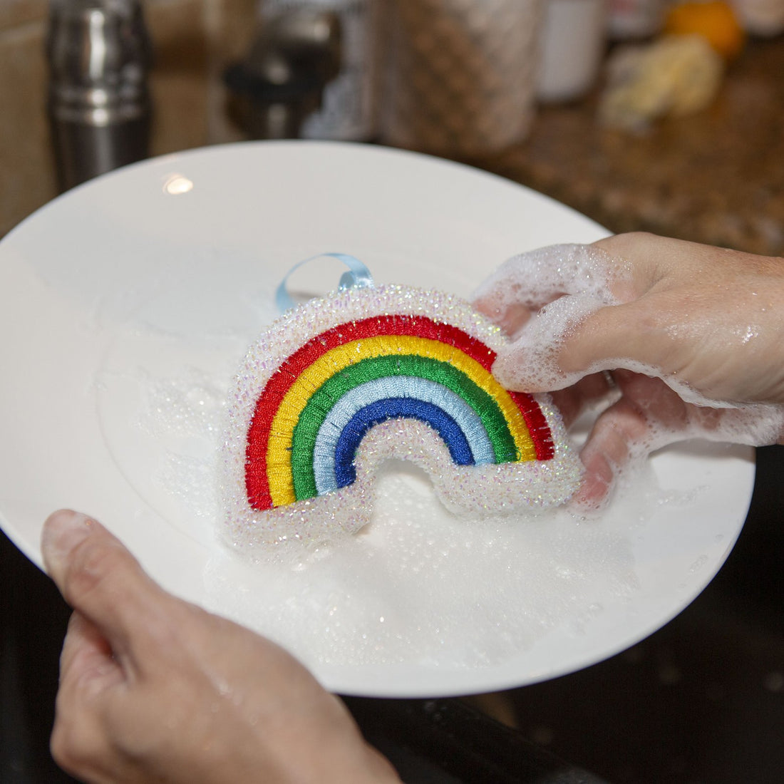 Rainbow Sponges – Set of 2 – S. Feldman Housewares