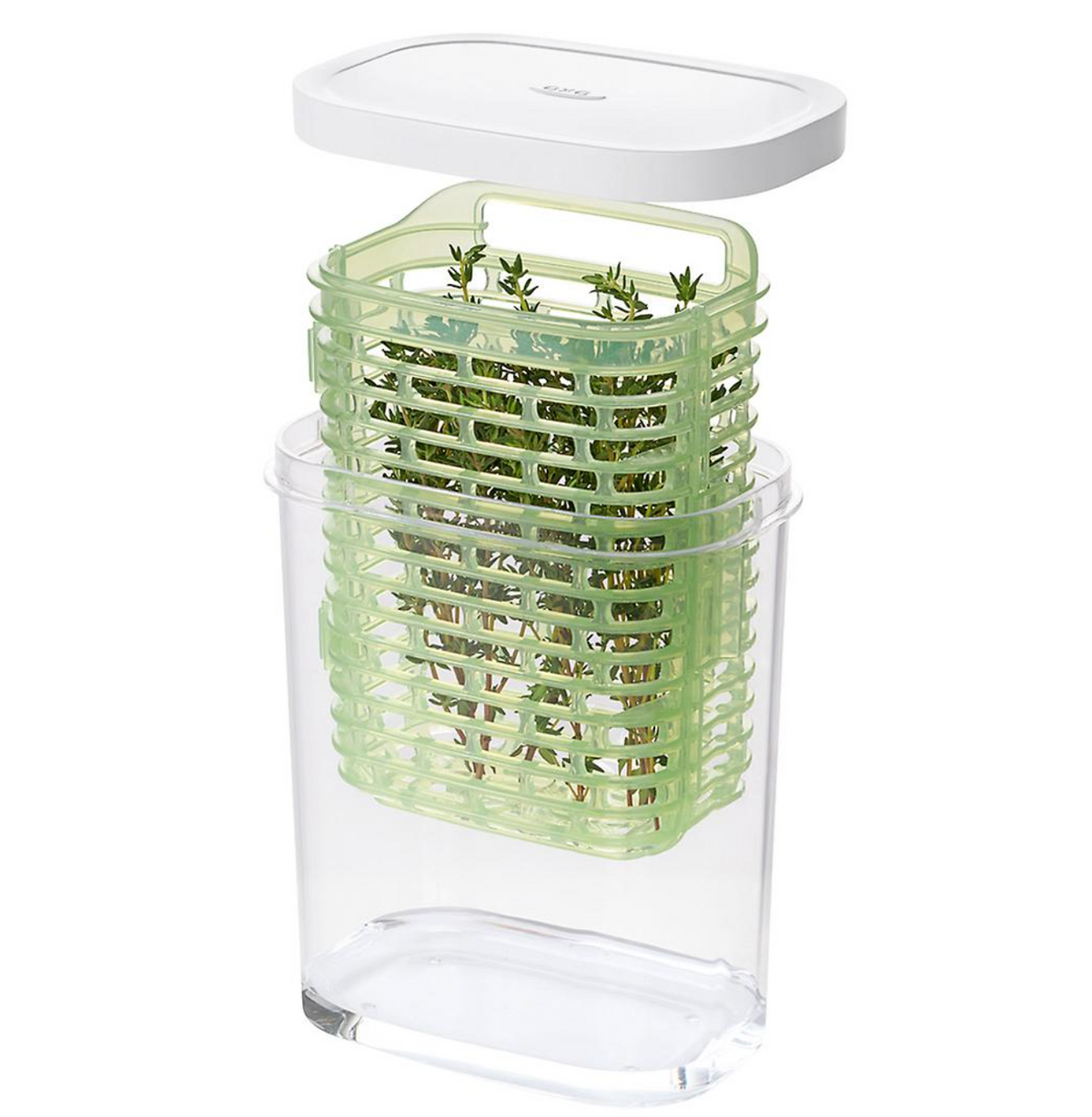OXO Greensaver Herb Keeper – 1.8 QT. – S. Feldman Housewares